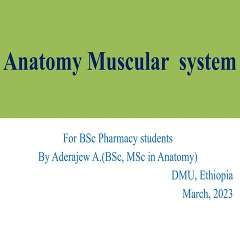 Anatomy Muscular system.pptx for health students specially for pharmacy ...