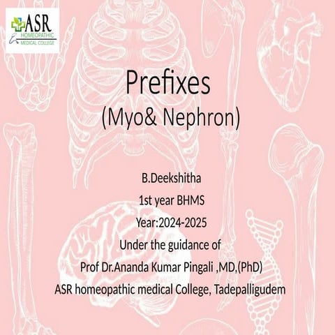 Anatomical prefixes are used before a word to explain the location | PPT