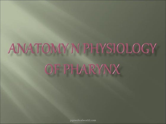 Anatomyofpharynx 120310220054-phpapp02 | PPT