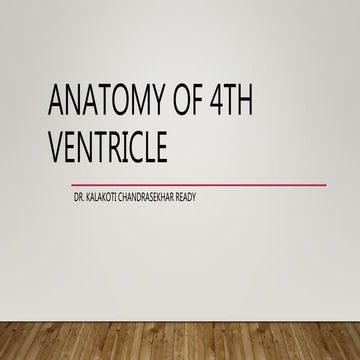 Anatomy of 4th ventricle | PPTX