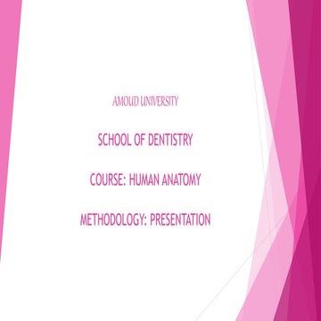 Anatomy of Abdomen.pptx
