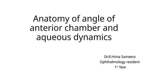 ANGLE ANATOMY | PPTX | Eye and Vision Conditions | Diseases and Conditions