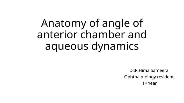 Embryology of angle of anterior chamber | PPTX | Eye and Vision ...
