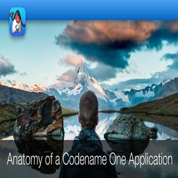 Anatomy of a Codename One Application | PPT
