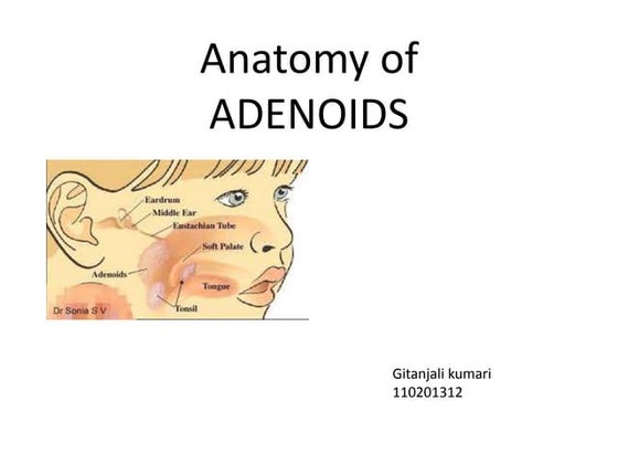 Dr ahmed esawy imaging of adeniod enlargment | PDF