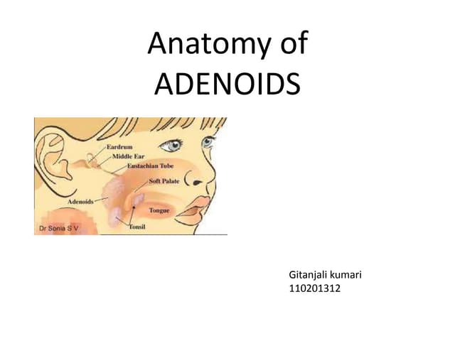 Dr ahmed esawy imaging of adeniod enlargment | PDF