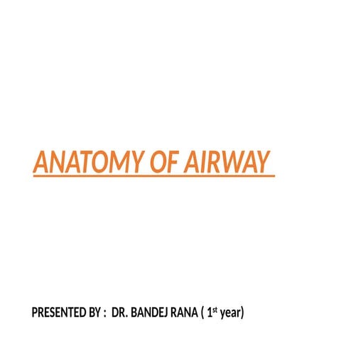 Anatomy of airway | PPT