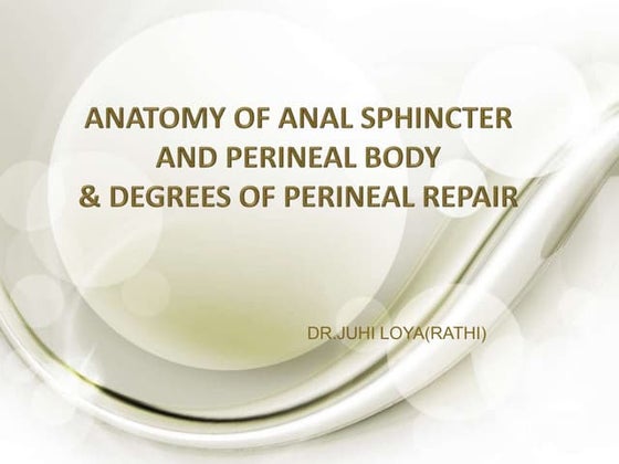 PERINEAL BODY PPT ANATOMY MBBS 1ST YEAR | PPTX