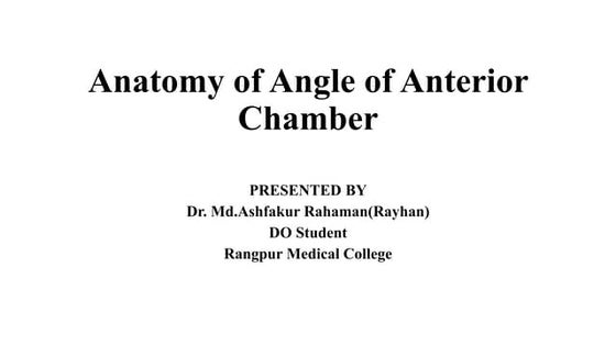 ANATOMY OF THE ANGLE OF THE EYE.ophthalmology | PPT