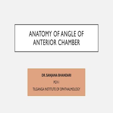 ANATOMY OF ANGLE OF ANTERIOR CHAMBER dr sanjana.pptx