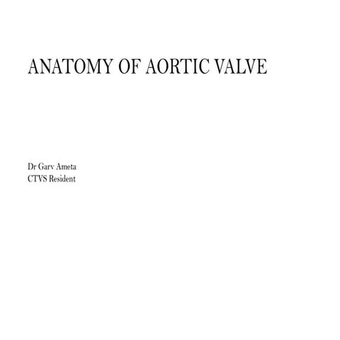 Anatomy Of Aortic Valve- Dr Garv Ameta.pptx