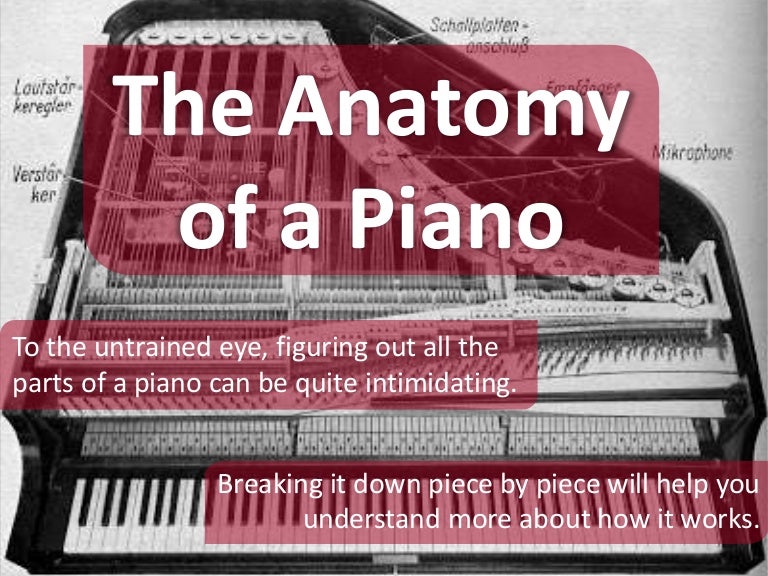 The Anatomy of a piano
