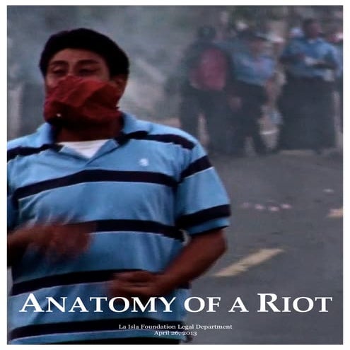 Anatomy of a Riot Report | PDF