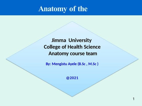 The vertebral column.pptx