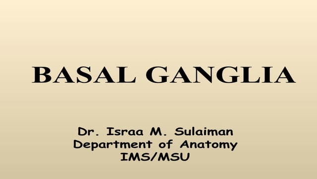 Basal ganglia 101 | PPT