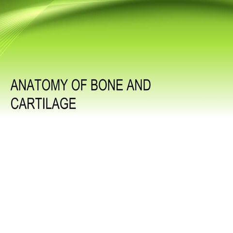 Anatomy And Physiology of cartilage | PPT