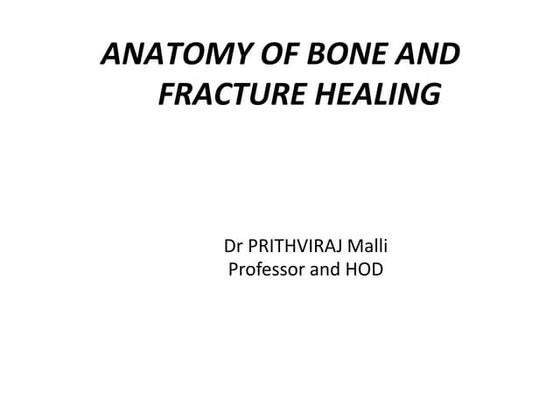 Understanding Bone Development and Disorders | PPT