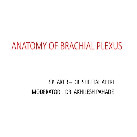 ANATOMY OF BRACHIAL PLEXUS presentation.pptx