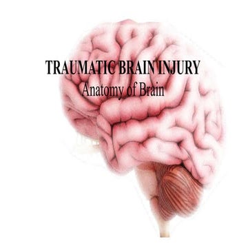 Anatomy of Brain - Traumatic Brain Injury | PPTX