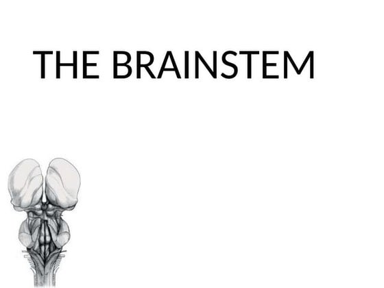Detailed Anatomy of Medulla Oblongata ppt | PPT