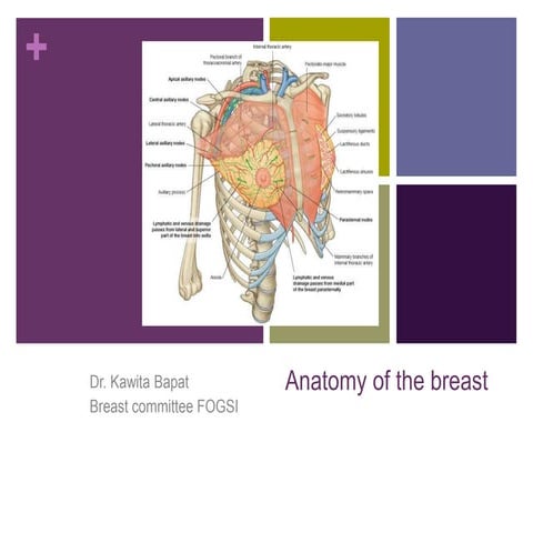 1- Anatomy of Female Reproductive System.pdf