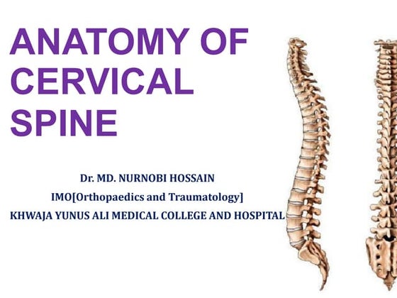 Palpation of spleen final | PDF
