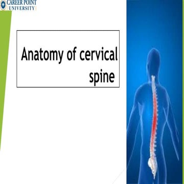 Cervical spine: anatomy, biomechanics and pathomechanics | PDF