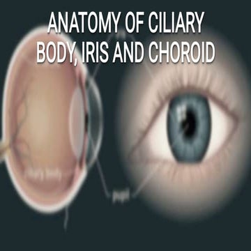 ANATOMY OF CILIARY BODY, IRIS AND CHOROID.ppt
