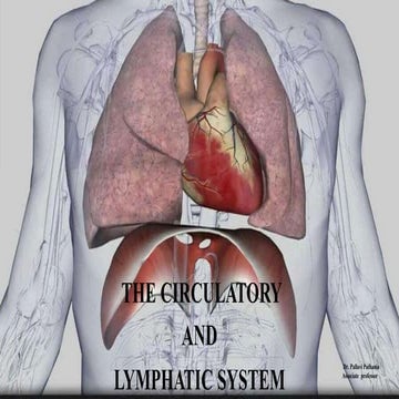 Anatomy of Circulatory system and lymphatic system | PPTX