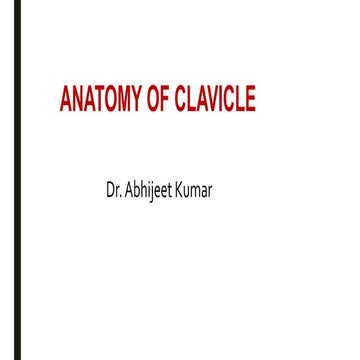 Anatomy Of Clavicle Normal copy (1) (1).pptx