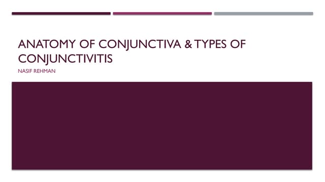 Conjunctiva | PPTX