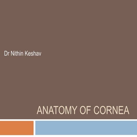 Anatomy of cornea | PPT