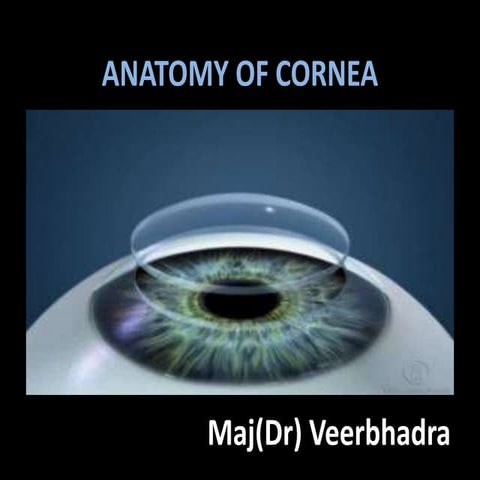 Anatomy of cornea | PPT