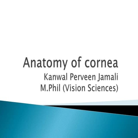 Anatomy of cornea | PPTX