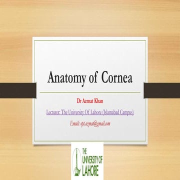 Anatomy of cornea | PPTX