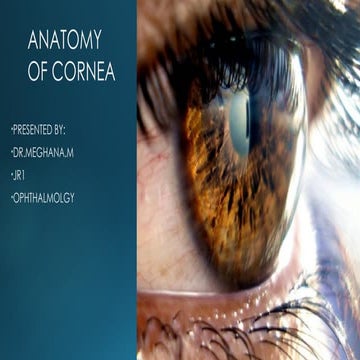 Layers of cornea | PPTX