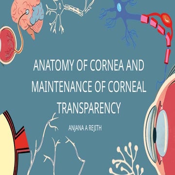 ANATOMY OF CORNEA AND MAINTENANCE OF CORNEAL TRANSPARENCY_20260120 ...