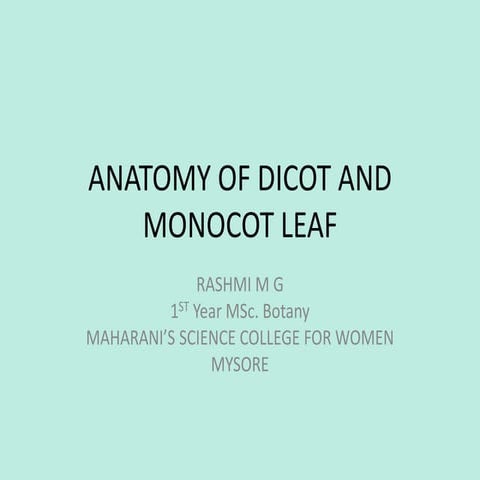 ANATOMY OF DICOT AND MONOCOT LEAVES.pptx