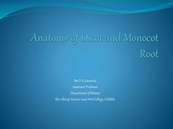 Anatomy of leaves | PPTX | Gardening | Home & Garden