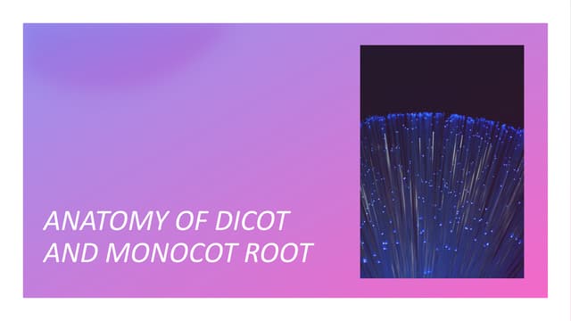 Anatomy of Dicot and monocot Root.pptx