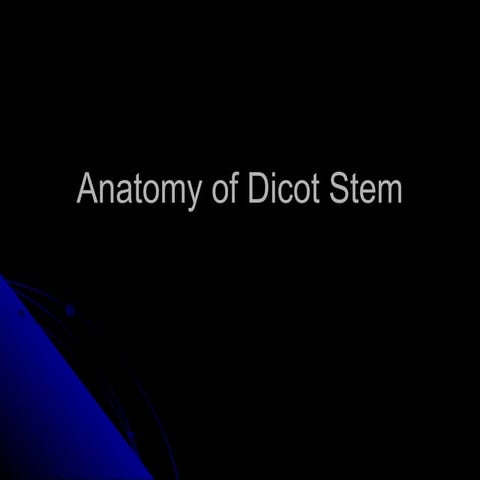 Anatomy of dicot stem | PPT
