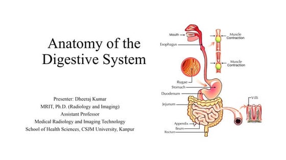 Radiographic Grid.pptx