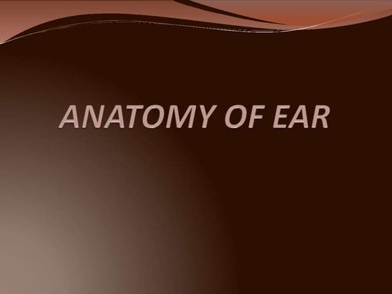 Anatomy of external ear | PPT | Ear, Nose and Throat Conditions ...