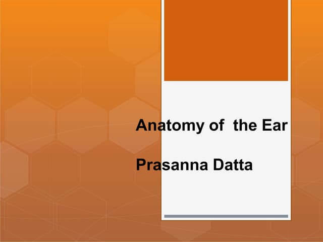 Anatomy of external ear | PPT