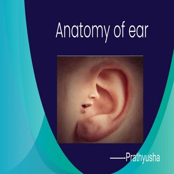 Anatomy of ear | PPT