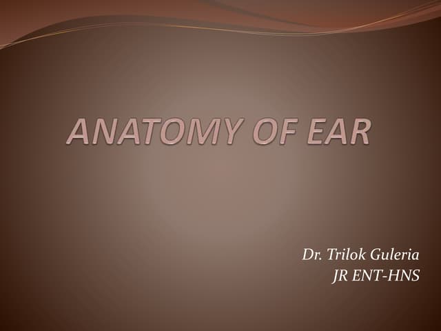 Anatomy of external ear | PPT