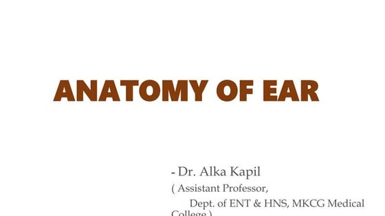 Anatomy of external ear | PPT | Ear, Nose and Throat Conditions ...