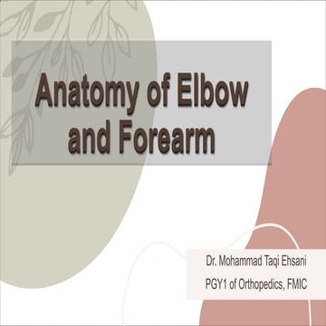 Forearm anatomy complete | PPTX