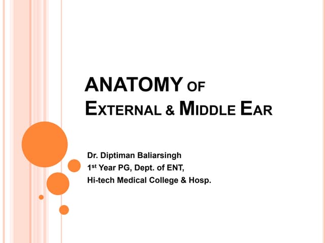 Anatomy of external ear | PPT