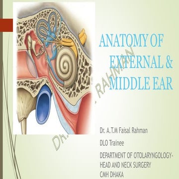 Anatomy of external and middle ear by dr. faisal rahman | PPTX